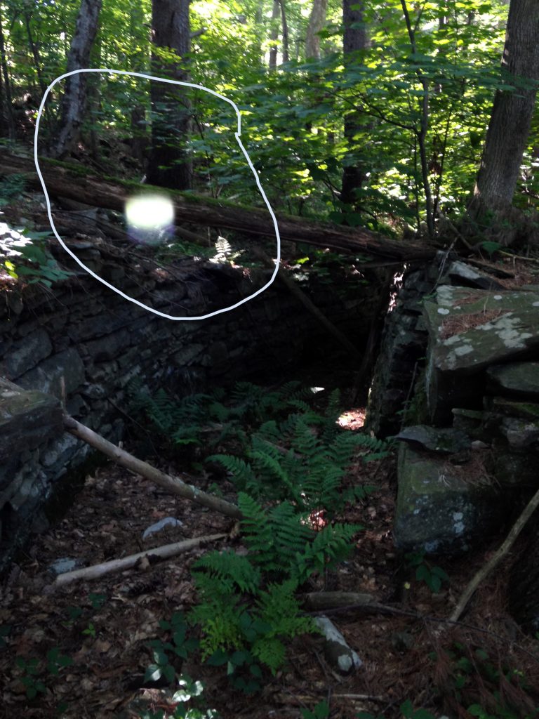 Orbs – The Lightness of Beings? - Connections Magazine